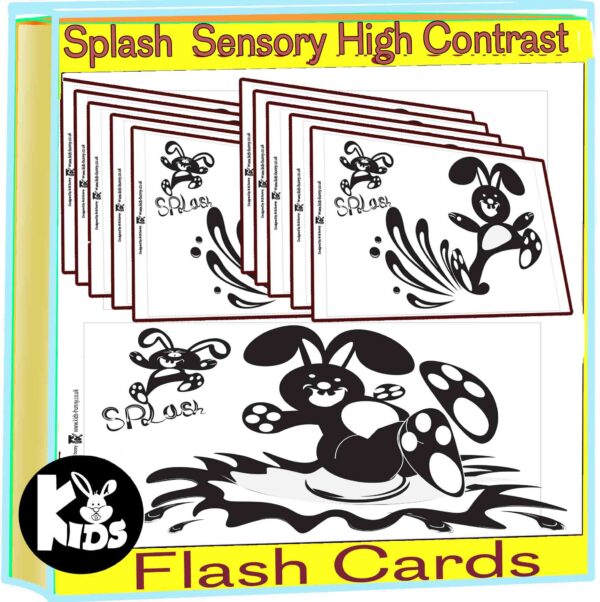 Awesome 40x Parents And Sensory High Contrast Flash Cards